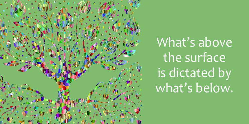 The Very Root Cause of All Chronic Conditions – Mariposa Energy Medicine